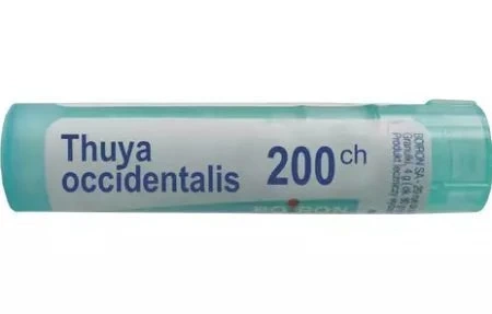 BOIRON Thuya occidentalis 200 CH granulki, 4 g | aptekacurate.pl